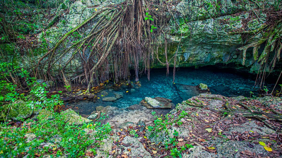 Parque Nacional Cotubanam Parque Del Este Visit Dominican Republic
